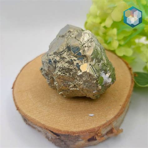 Pyriet Gallery Lindenhorst