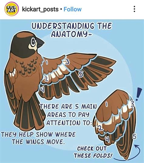 1 3 Wings Art Reference Photos Sketch Book Art Tutorials Drawing