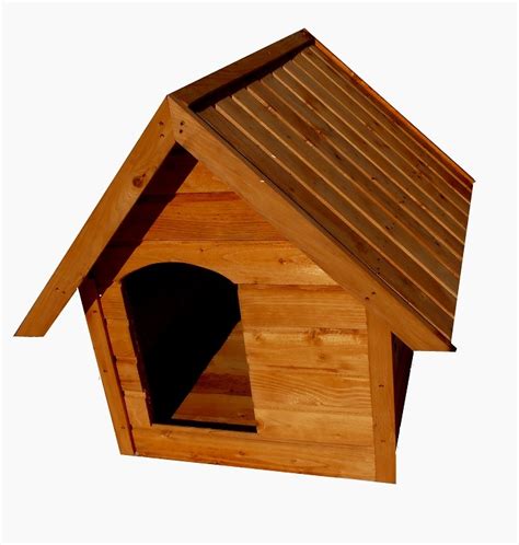 Cusca Caine Dedeman Curatatorie Chimica