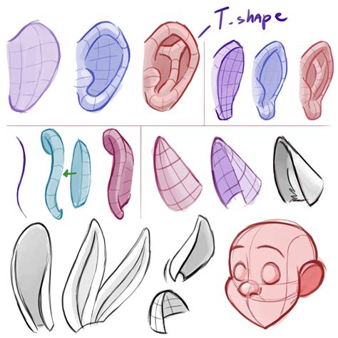 Pin By Tyler Bolyard On D Stylized Construction Anatomy D Drawings How To Draw Ears Eye