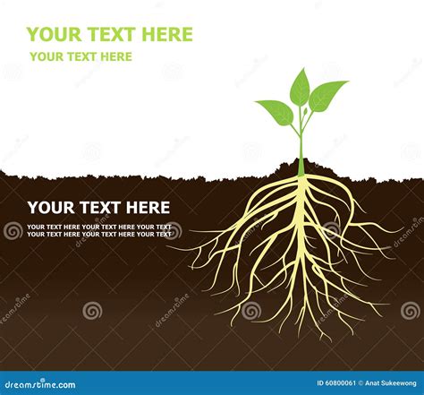 Tree With Roots Plant Roots Soil Stock Vector Image 60800061