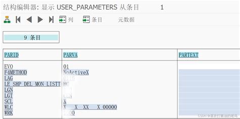 Sap Abap获取sap账号user Profile里的参数值abap系统参数获取 Csdn博客 Sap Abap获取sap账号user Profile里的参数值abap系统参数获取 Csdn博客