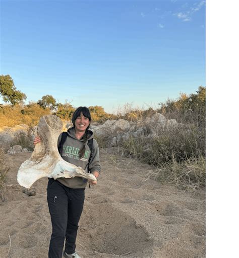 Traveller Stories Francesca Weiher