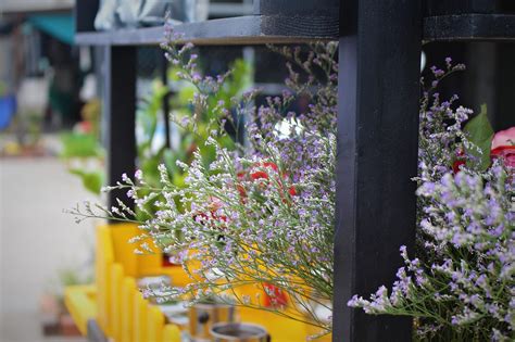 咖啡 花朵 花束 Pixabay上的免费照片 Pixabay