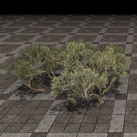Online Shrub Juniper Cluster Uesp Wiki The Unofficial Elder Scrolls Pages