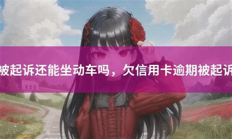 信用卡被起诉还能坐动车吗，欠信用卡逾期被起诉怎么办 小皮攻略网