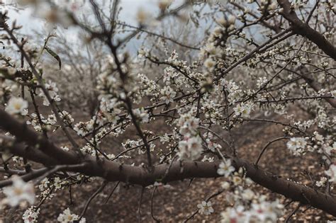 Anthony Wayne Moore “porge”