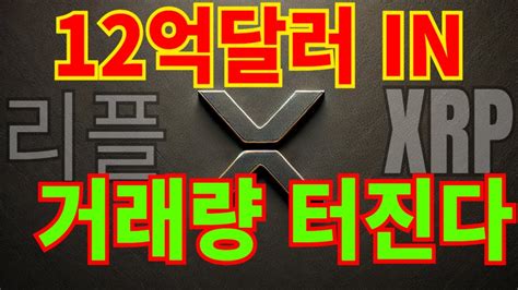 리플 』 12억달러 유입 거래량 터졌습니다 늦으면 못먹습니다 리플 리플코인 코인 리플전망 비트코인 비트토렌트