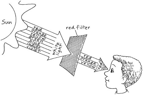 How To Use Colored Filters To Send Secret Messages Science Project Education Com Secret