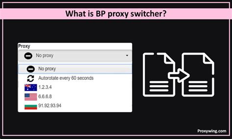 Bp Proxy Switcher The Ultimate 2025 Guide For Setup And Use