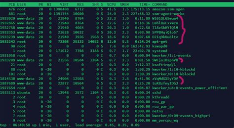 Any Idea What Are These In My Ubuntu Server Command With Cryptic Names