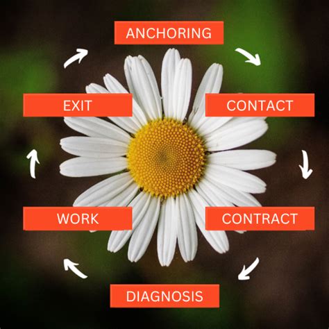 What Is The Consulting Approach Orokom