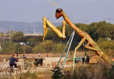 User Super Mantis Stack Overflow