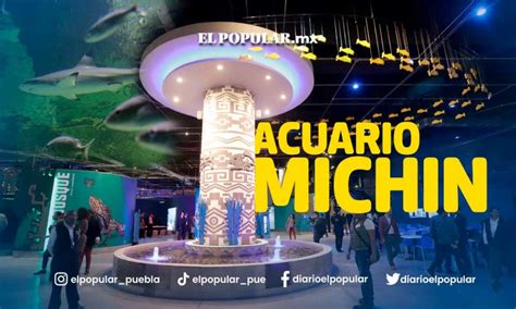 Acuario Michin Pilar De La Conservación Marina En Puebla
