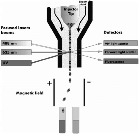 Schematic Drawing Of A Flow Cell And Principle Of Cell Detection Using Download Scientific