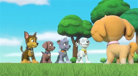Chasegallerypups Save Francois The Penguin Paw Patrol Wiki Fandom