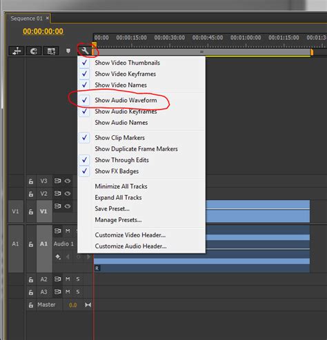 Solved Not All Audiofiles Are Shown With Waveform Adobe Community 11805473