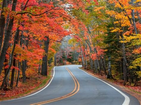Autumn Escapes 5 Ways To Enjoy The Michigan Fall Colors Bvw Unsalted