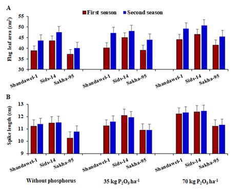 Influence Of P Levels On The Flag Leaf Area A And Spike Length B Of