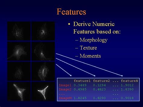Classification Of Protein Localization Patterns In D