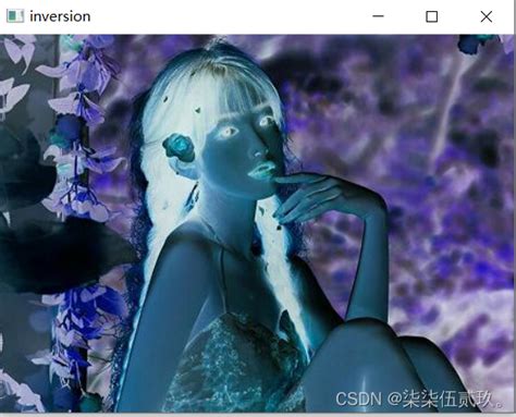 【python】图像数据预处理python图像预处理 Csdn博客