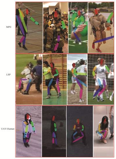 Human Pose Estimation Via An Ultra Lightweight Pose Distillation Network