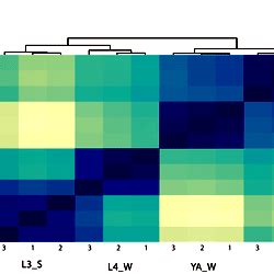Cross Correlation Analysis