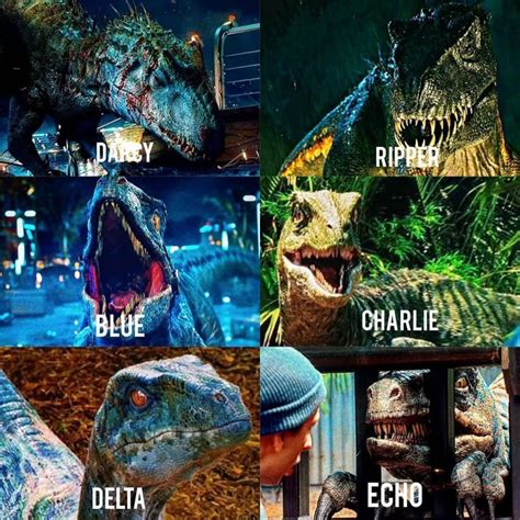 Jurassic World Cat Memes