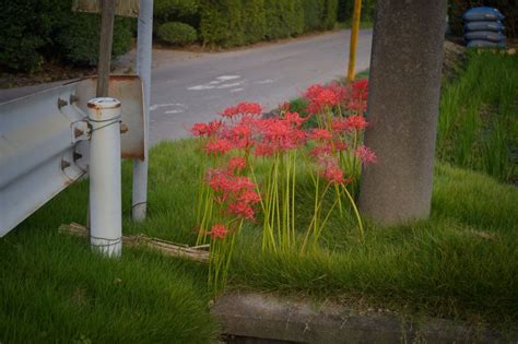 記憶の風景105 GANREF