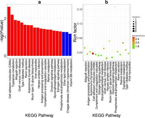 Kegg Pathway Enrichment Analysis Of Degs From Rna Seq Data A The Bar
