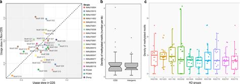 Motif Usage Bias Analysis And Distribution Of Methylation Sites In Download Scientific Diagram