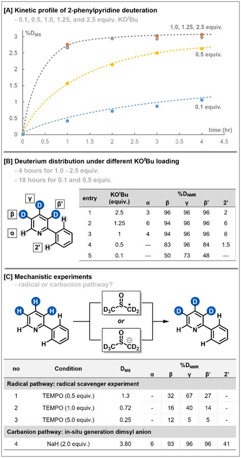 叔丁醇钾促进的吡啶在β 和γ 位置的选择性氘代 X Mol资讯