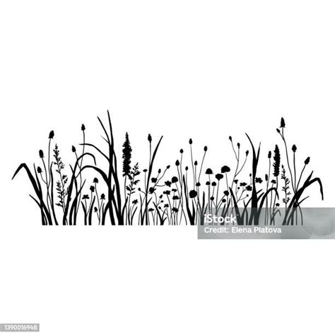 실루엣 야생화 잔디 여름 꽃과 벡터 블랙 손 그린 그림 허브와 식물의 그림자 흰색으로 격리된 자연 필드 실루엣에 대한 스톡 벡터 아트 및 기타 이미지 Istock
