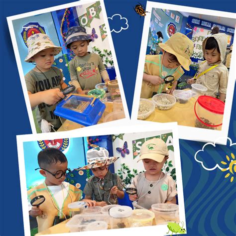 Bug Entry Seri Mulia Sarjana School