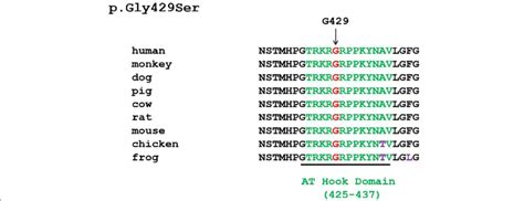 Clustalw Multiple Alignment Of Partial Protein Sequences Of Phf21a