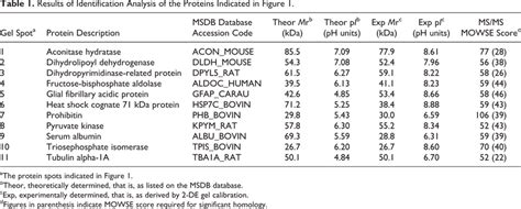 Results Of Identification Analysis Of The Proteins Indicated In Figure 1 Download Scientific