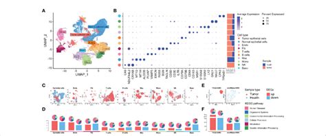 Single Cell RNA Sequencing ScRNA Seq And Bulk RNA Sequencing Download Scientific Diagram