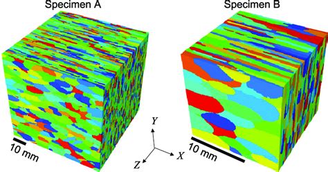 Three Dimensional Polycrystalline Microstructures Of Specimens A And B