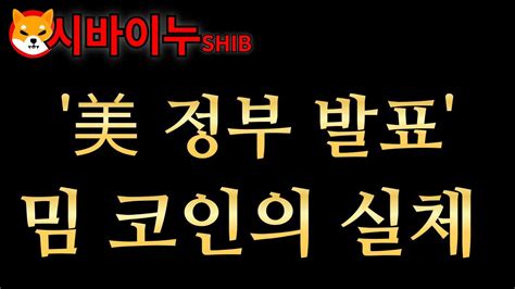 시바이누 코인 美 정부 발표 밈 코인의 실체입니다 Youtube