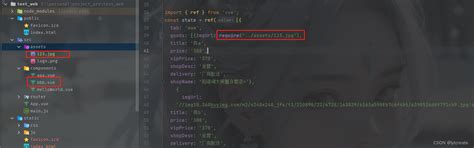 Vue读取静态文件技巧vue如何查看静态文件 Csdn博客
