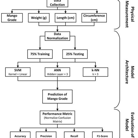 The Graph Of Svm With Hyperplane Download Scientific Diagram