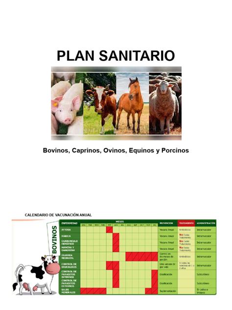 Plan Sanitario Bovino Equino Porcino Y Ovino Pdf Rabia Influenza