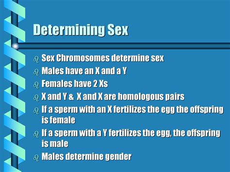 Determining Sex Sex Chromosomes Determine Sex Males Have An X And A Y Ppt Download