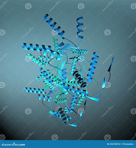Protein Molecules Stock Illustration Illustration Of Molecules 23472812