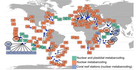 2 The Data Environmental Diversity Of Microbial Eukaryotes