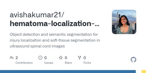 Github Avishakumar21hematoma Localization And Spinal Cord Segmentation