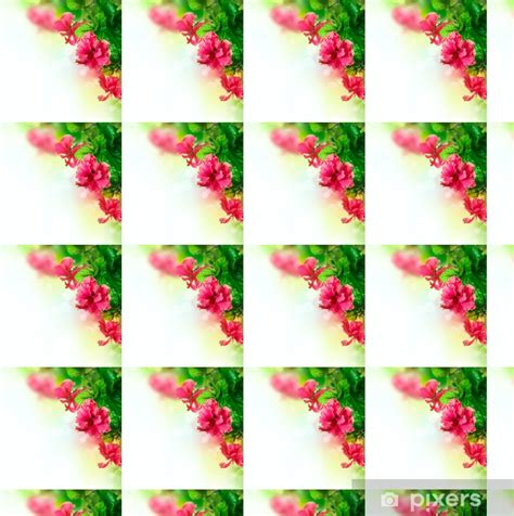 Wallpaper Hibiscus Flower Border Design Over White Pixersconz