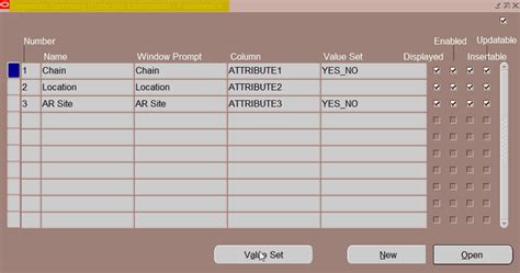 how to set values for descriptive flexfield s context and segments