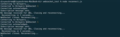Reconnect Automatically After Disconnect Bitquery