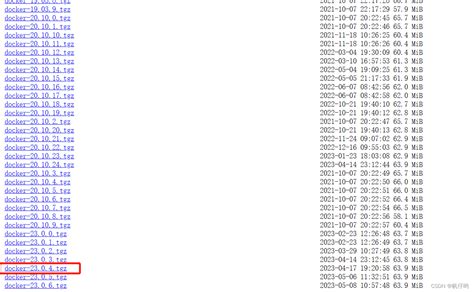 Linux离线安装dockerdocker 2304tgz下载 Csdn博客